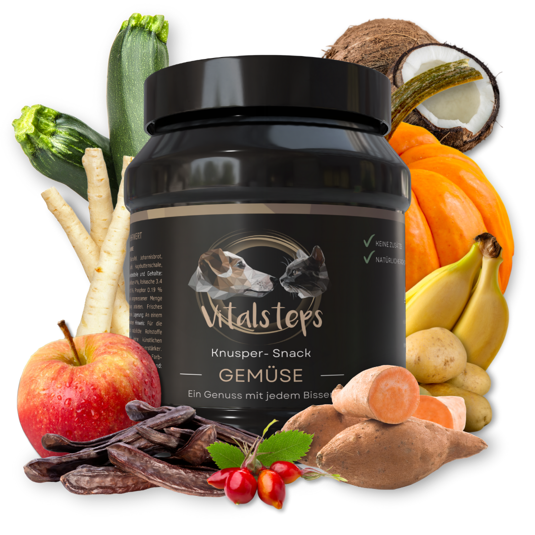 Vitalsteps Gemüse- Snack | Hundesnack Veggie